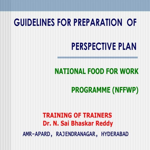 Perspective plan preparation 2 | PPTX