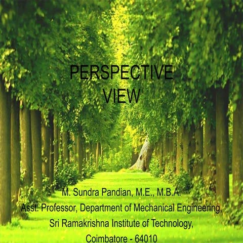 Perspective view | PPT