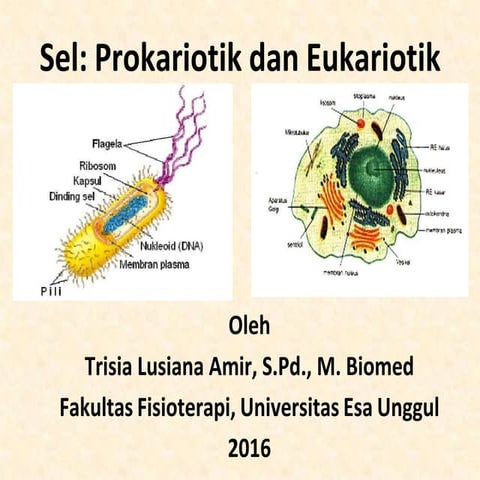 EUKARIOT DAN PROKARIOT | DOCX