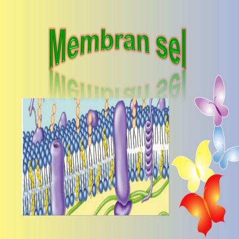membran-sel | PPT
