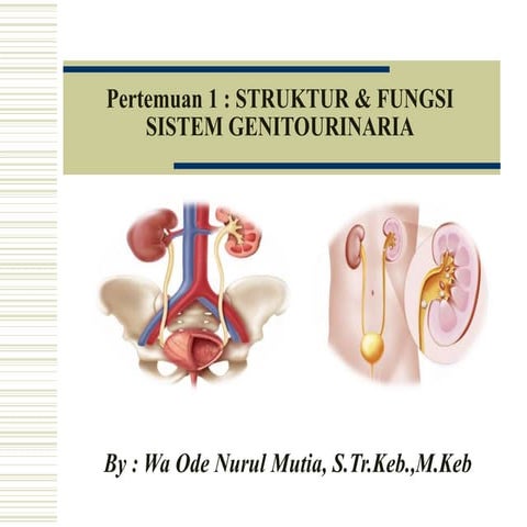 Fisiologi ureter, vesika urinaria, dan uretra | PPTX