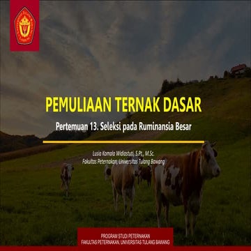Seleksi pada Ruminansia Besar - Materi Pemuliaan Ternak Dasar | PPTX