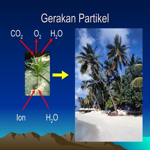 pertemuan 2 (difusi dan osmjjjjjjosis).ppt