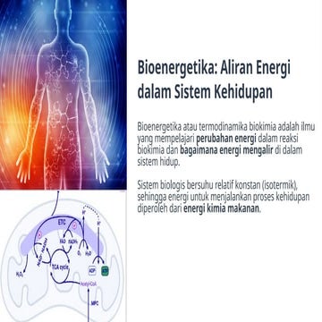Bioenergitika | PPTX