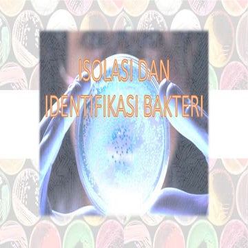 Isolasi dan morfologi koloni bakteri | DOC