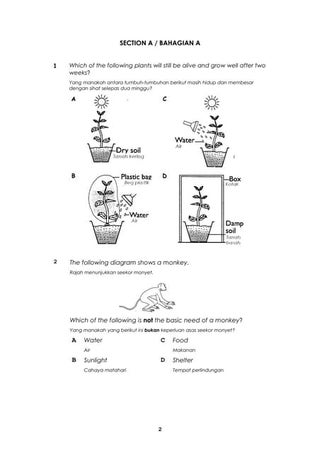 Sceince year-4-mid-term-exam | PDF