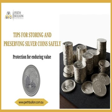 Tips for Storing and Preserving Silver Coins Safely | PDF