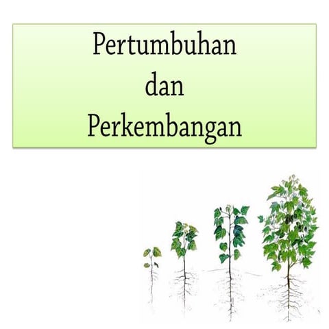 Pertumbuhan | PPTX