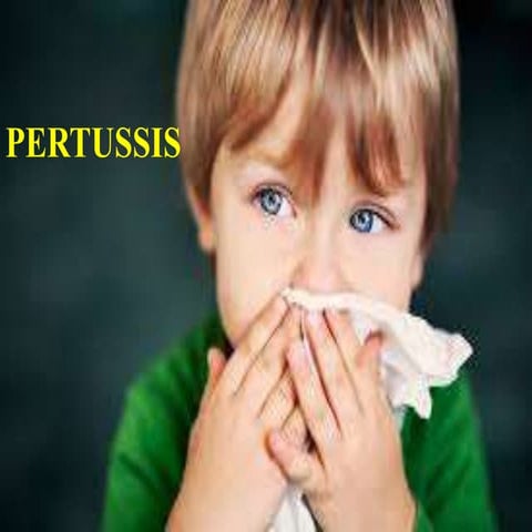 Pertussis | PDF