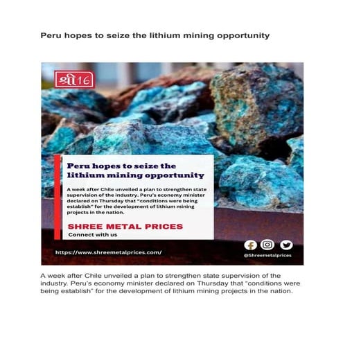 ppt rayominerals 2023 (4).pptx