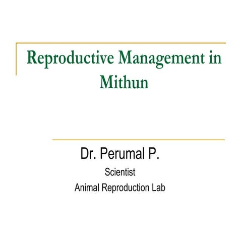 Perumal reproductive management in mithun | PPT