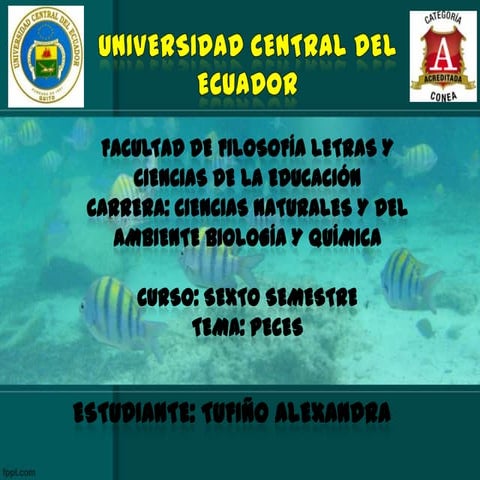 PECES SECTOR IÑAQUITO POR ALEXANDRA TUFIÑO | PPTX