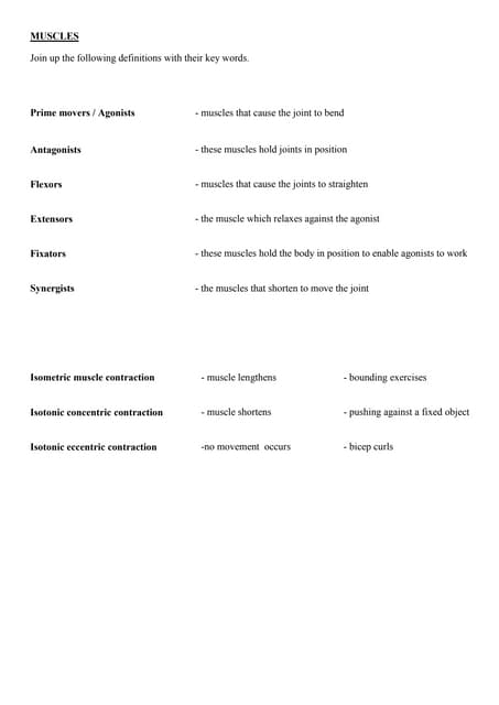 GCSE PE Revision: Antagonistic muscle pairs | PPTX