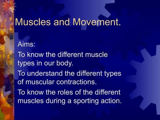 GCSE PE Revision: Antagonistic muscle pairs | PPTX