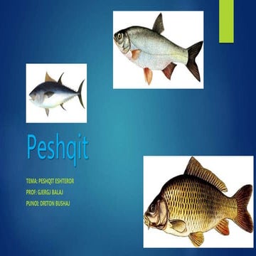 Peshqit D.Bushaj | PPTX