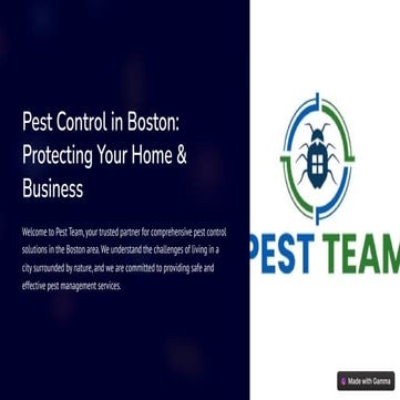 Expert Pest Control in Boston – Safe & Effective Solutions by PestTeam ...