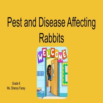 Pest and Disease Affecting Rabbits.pptx.pdf