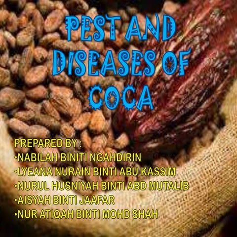 CACAO Insect, Pest, Diseases, and Management | PDF