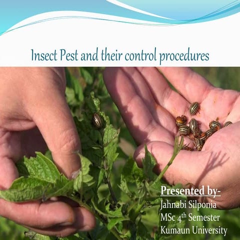 Pest and their control procedures | PPTX