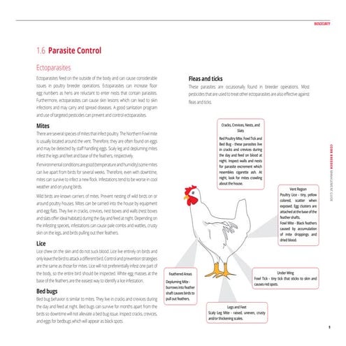 Fly Control Program To Understand and Control Fly | PPTX
