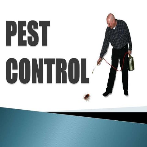 Pest Control | PPT