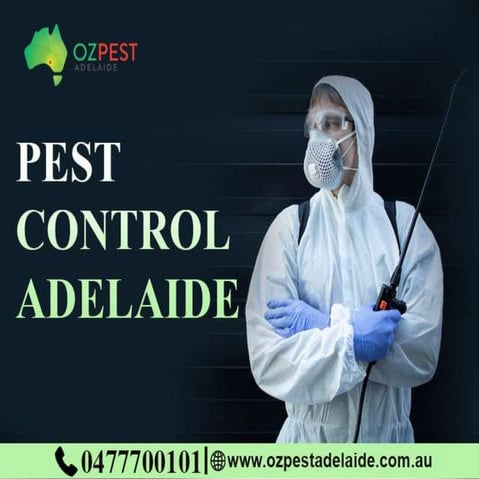 pest control Adelaide.pdf
