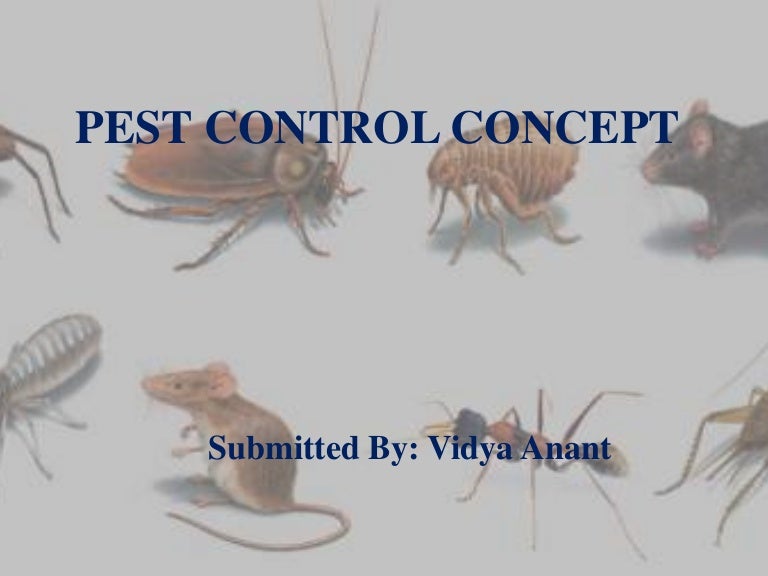 Pest control concept