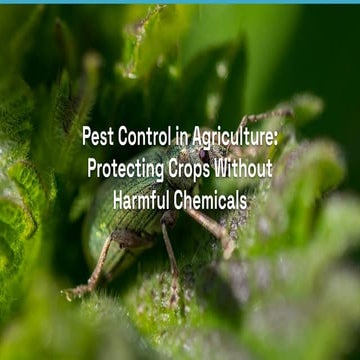Pest Control in Agriculture Protecting Crops Without Harmful Chemicals.pdf