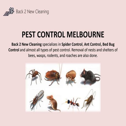 Pest Control Services: The Key to Maintaining a Clean and Pest-Free ...