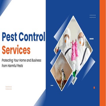 Complete Guide to Pest Control Services: Protecting Your Home and ...