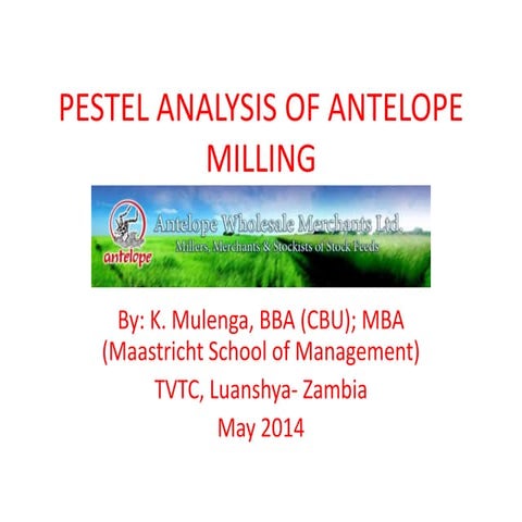Pestel Analysis of Antelope Milling | PPTX