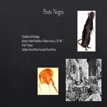 Peste Negra | PPTX