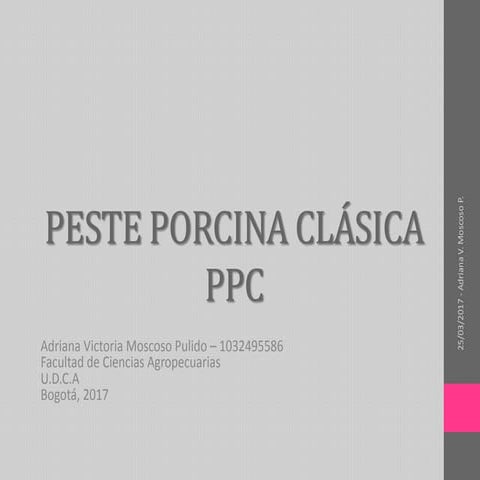 Colera Porcino ó Peste porcina clásica | PPT