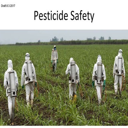 Pesticide safety | PPTX