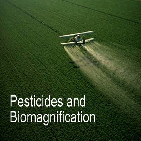 Pesticides and Biomagnification | PPT