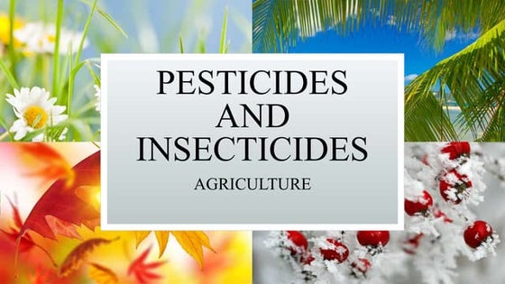 Insecticide definition ,types and classification . | PPT
