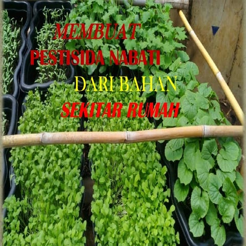 PESTISIDA NABATI organik ramah lingkungan | PPTX