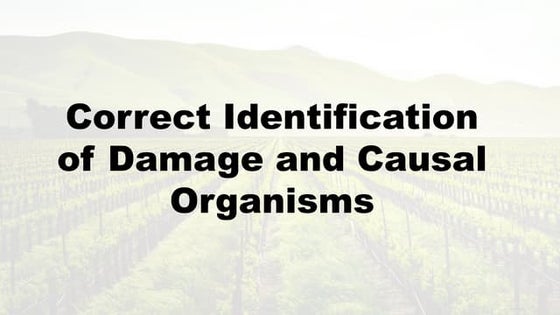 Mechanical Control for pest and weed management | PPTX