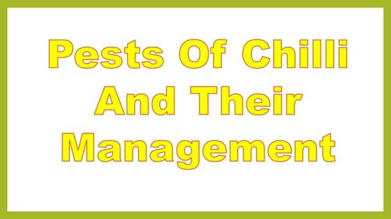 Major diseases of chilli | PPT