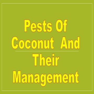 Insect pests of Cococnut | PDF