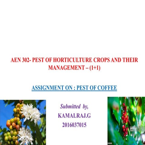 INSECT PEST OF COFFEE | PPTX