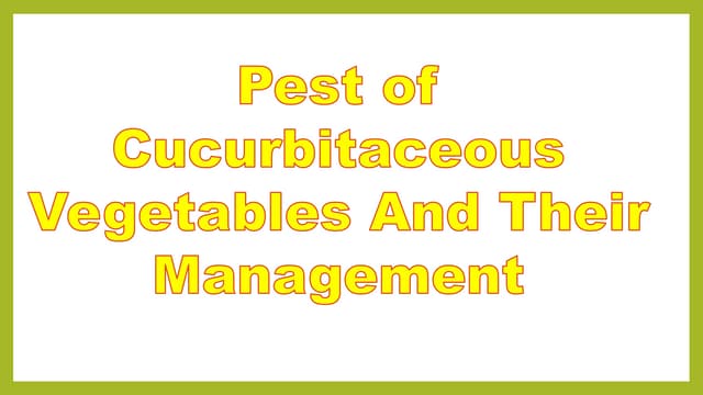 Reproductive system of Nematodes | PPTX