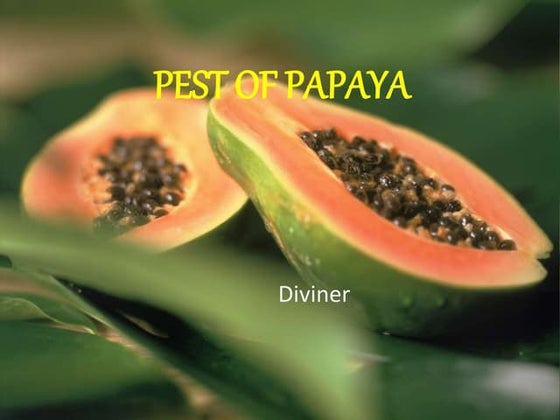 CACAO Insect, Pest, Diseases, and Management | PPT
