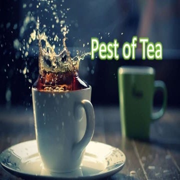 Pest of tea | PPTX