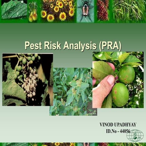 Pest risk analysis | PPTX