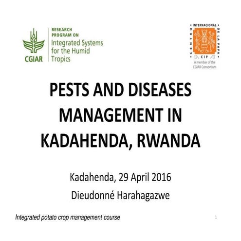 Pests and diseases management | PDF