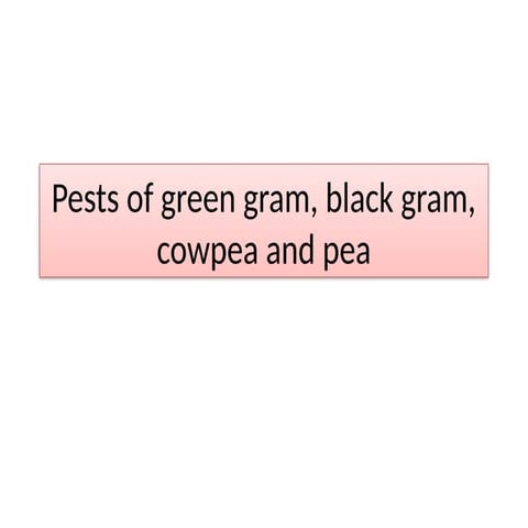 Important major Pests of cowpea and their management.pptx