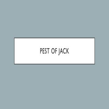 pests of jack insects infecting jack.pptx