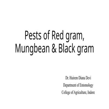 pests of Red gram, mungbean & black gram.pptx