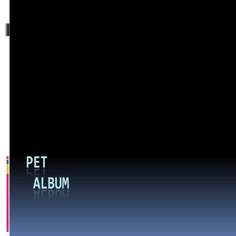 Pet | PPTX